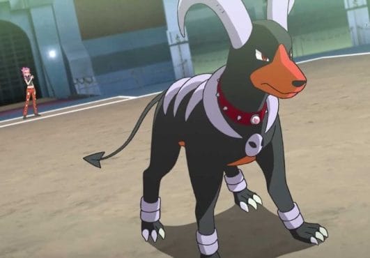 130+ Best Pokémon Dog Names: Dog Names Inspired by Pokémon