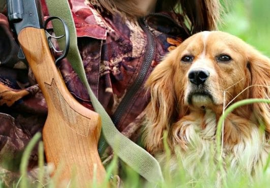 150 Best Gun Dog Names Name Ideas For Your Hunting Pooch 150-best-gun-dog-names-name-ideas-for-your-hunting-pooch
