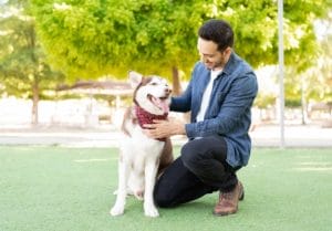 120+ Latin Names for a Dog: The Best Latin Dog Names