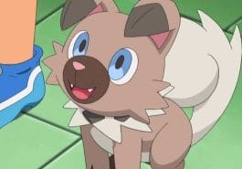 130+ Best Pokémon Dog Names: Dog Names Inspired by Pokémon