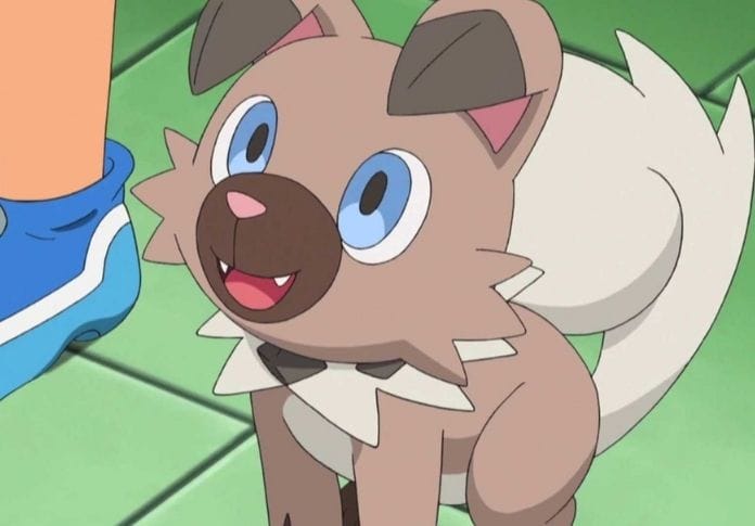 130+ Best Pokémon Dog Names: Dog Names Inspired by Pokémon