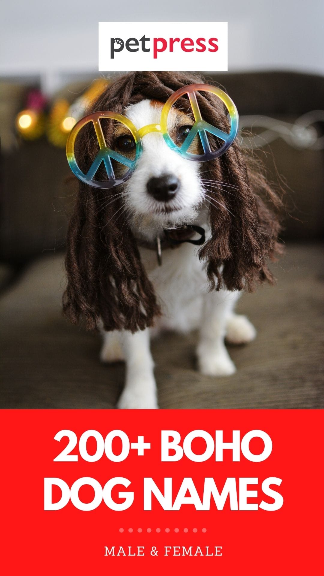 The Best Boho Dog Names: Over 200 Inspirational Dog Name Ideas The Best Boho Dog Names: Over 200 Inspirational Dog Name Ideas