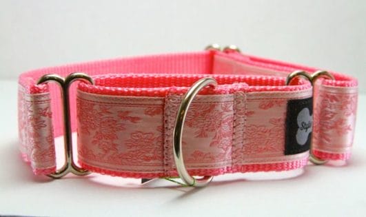 Best 8 DIY Dog Collars That Will Make Your Puppies Happy