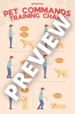 4 Best Free Dog Training Hand Signals Chart Printables