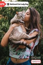 2024 Cat Holidays: A List of the Best Times to Celebrate Your Cats