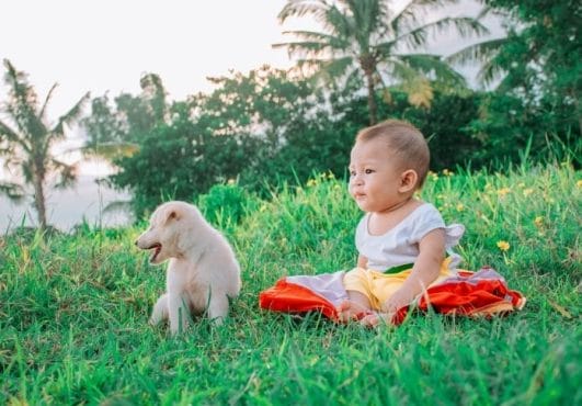 Filipino Dog Names: 110+ Best Names for Dogs in Tagalog