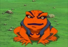 80+ Naruto-Inspired Names for Frogs and Frog Characters
