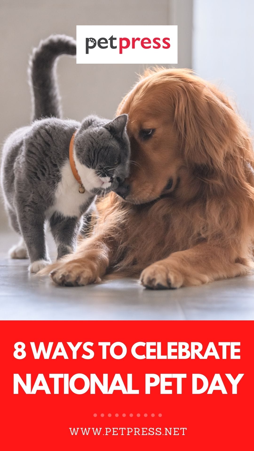 8 Ways to Celebrate National Pet Day: Show Your Pets Some Love!