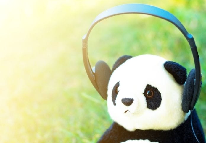 80 Most Popular Red Panda Names - PetPress