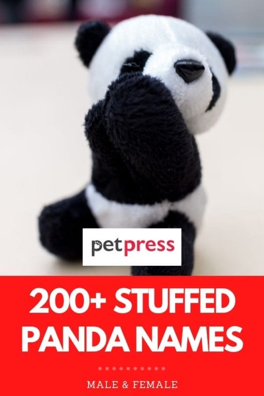 100+ Stuffed Panda Names: Best Names For A Cuddly Stuffed Panda