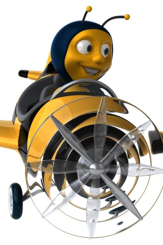 150 Funny Bee Names Unique And Hilarious Names For A Bee 150-funny-bee-names-unique-and-hilarious-names-for-a-bee