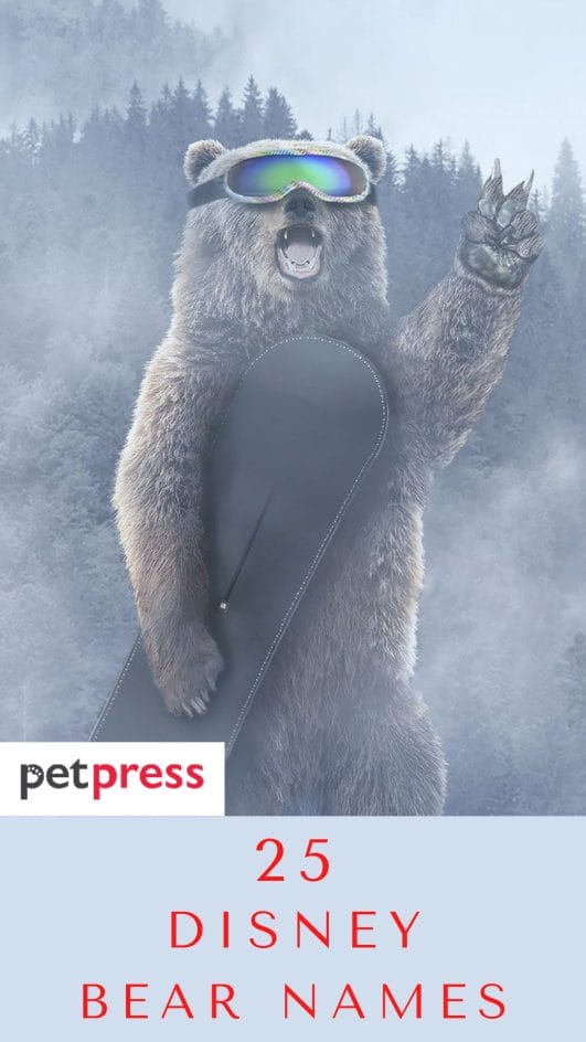 25 Disney Inspired Bear Names That Are Adorable to Inspire You