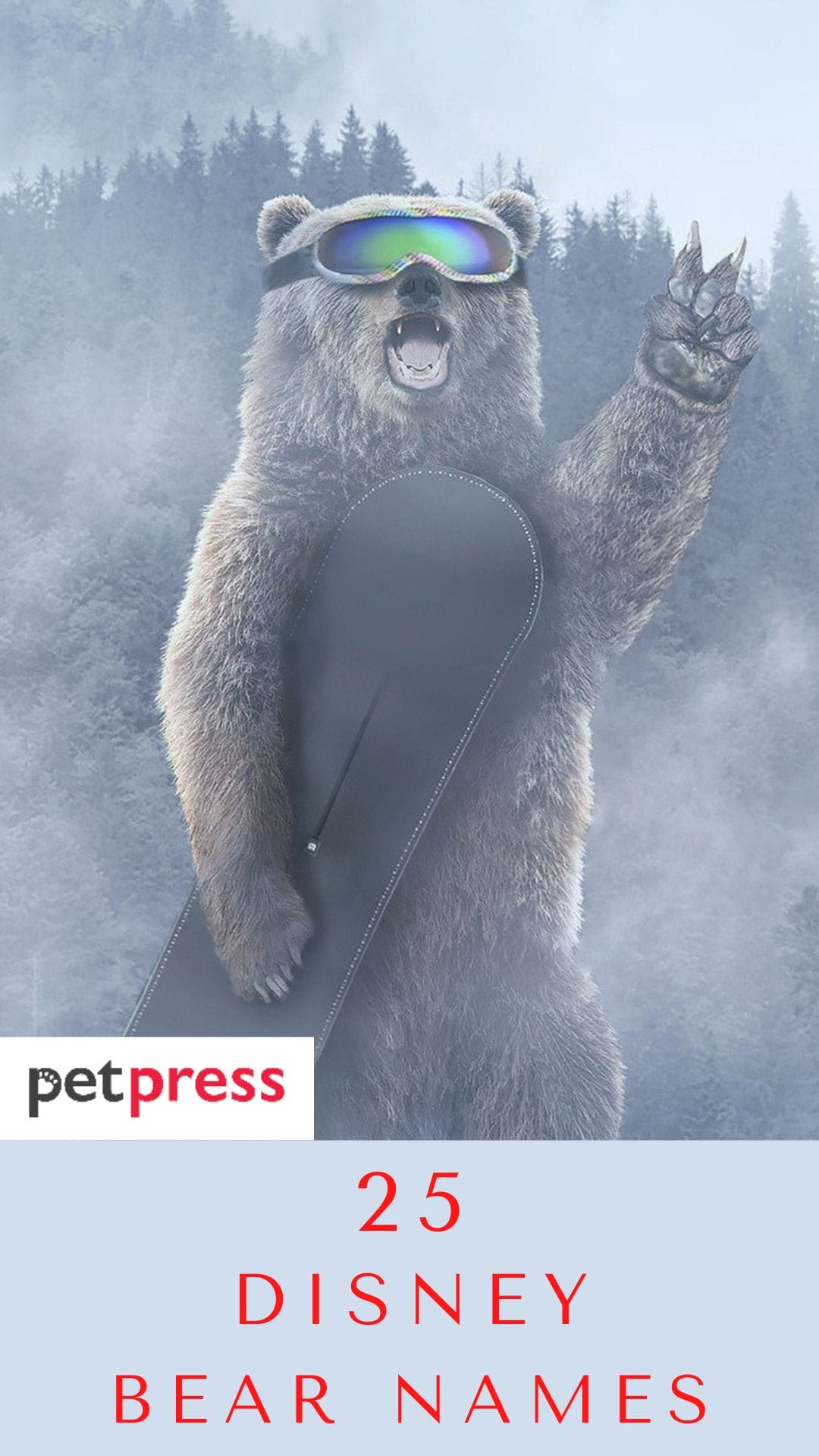 25 Disney Inspired Bear Names That Are Adorable to Inspire You