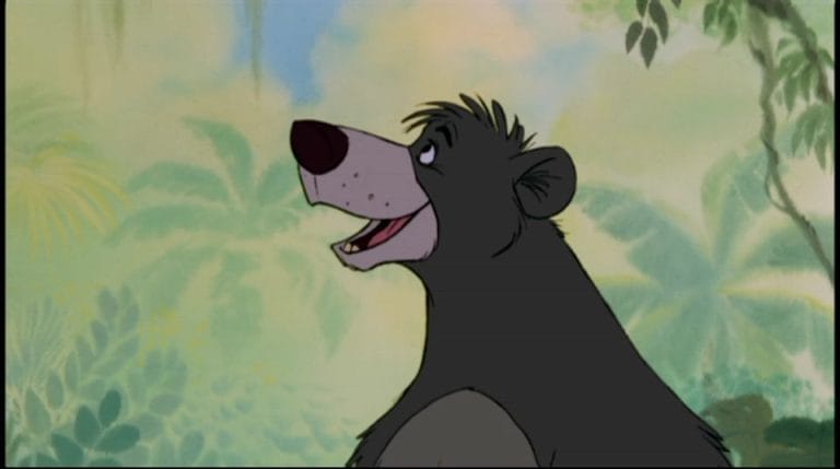 25 Disney Inspired Bear Names That Are Adorable to Inspire You