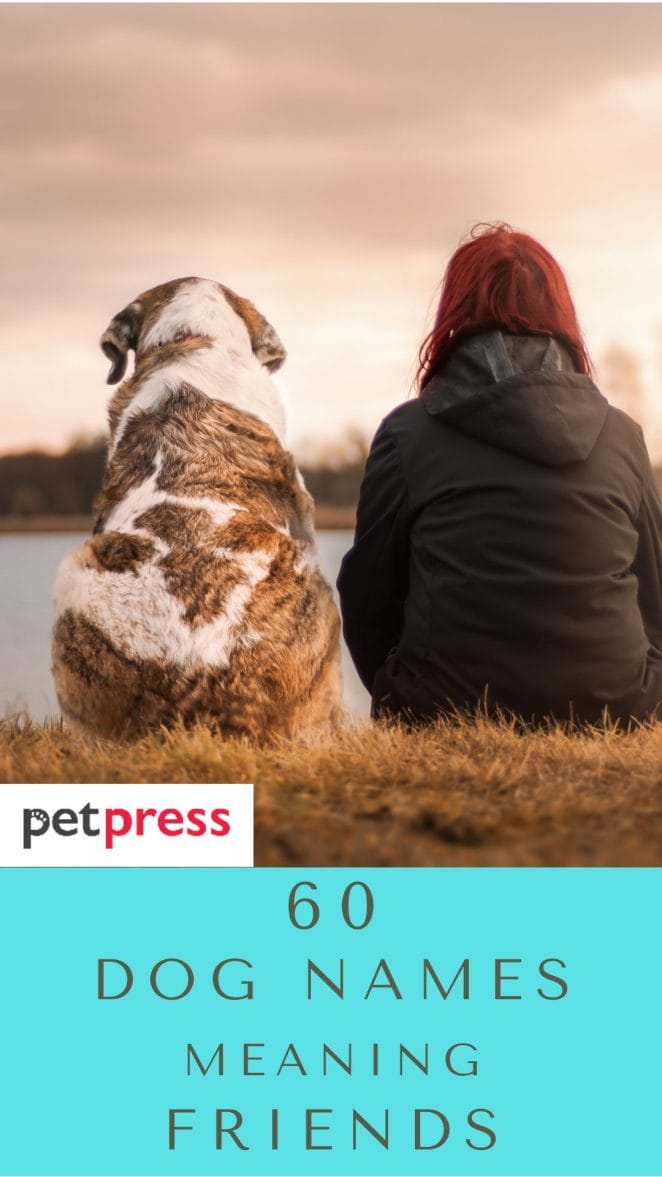 Girl Dog Names With Meaning Clearance Wholesale Save 56 Jlcatj gob mx girl-dog-names-with-meaning-clearance-wholesale-save-56-jlcatj-gob-mx