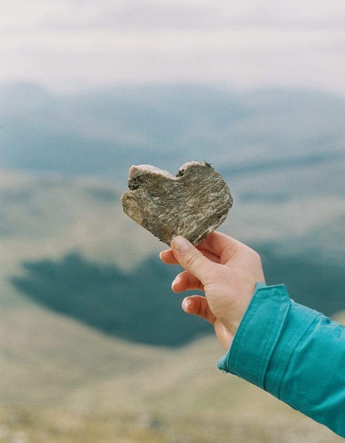 100 Pet Rock Names: Unique and Adorable Names for Your New Pet Rock