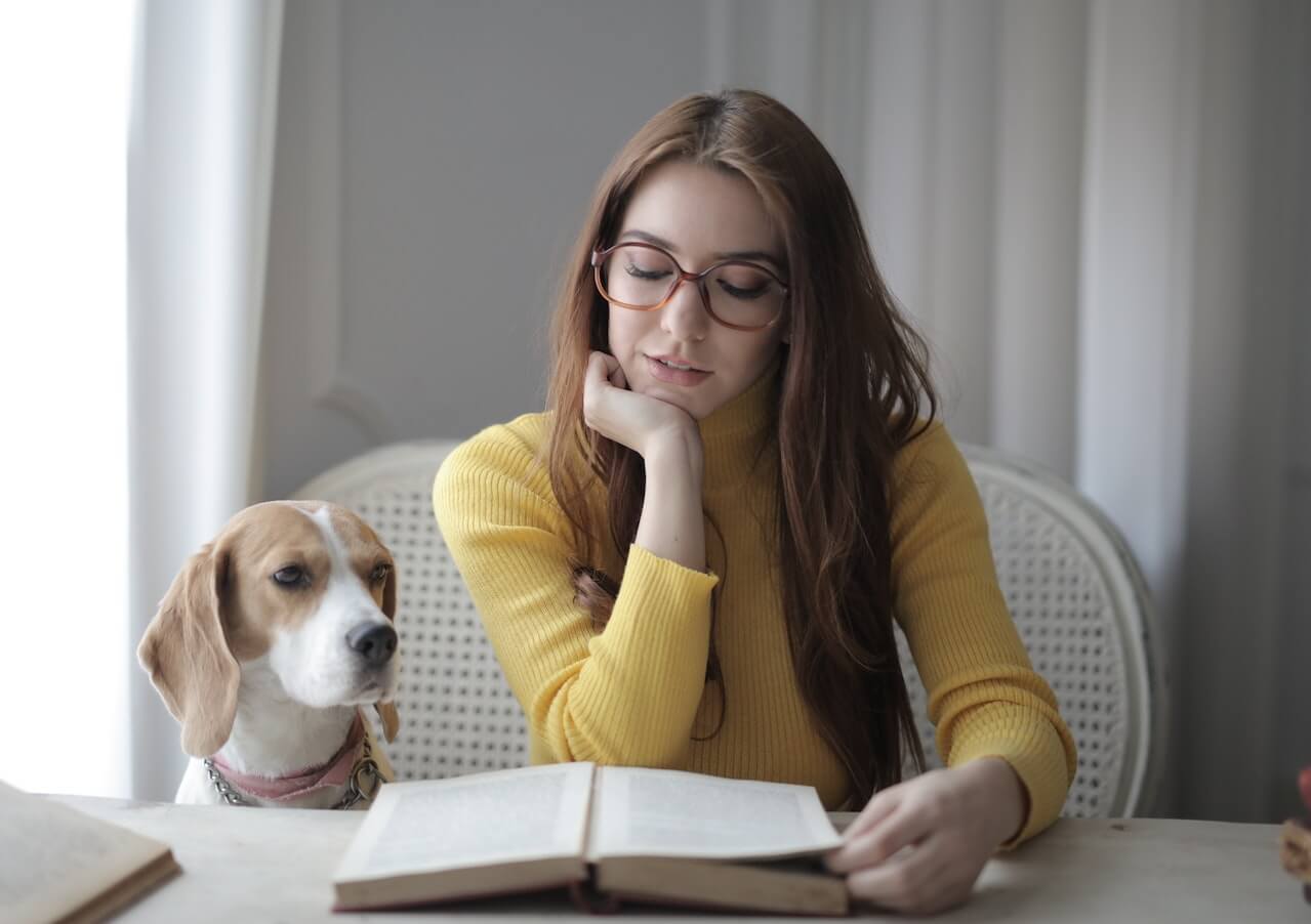 Can Dogs Understand English? Petpress Decodes the Woofs Can Dogs Understand English? Petpress Decodes the Woofs