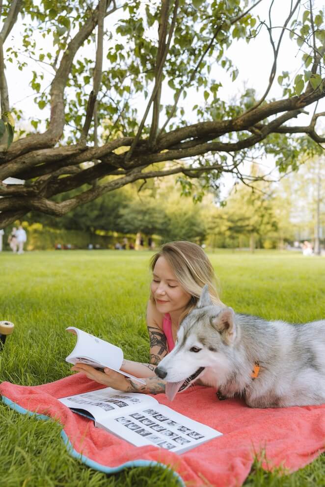Can Dogs Understand English? Petpress Decodes the Woofs Can Dogs Understand English? Petpress Decodes the Woofs