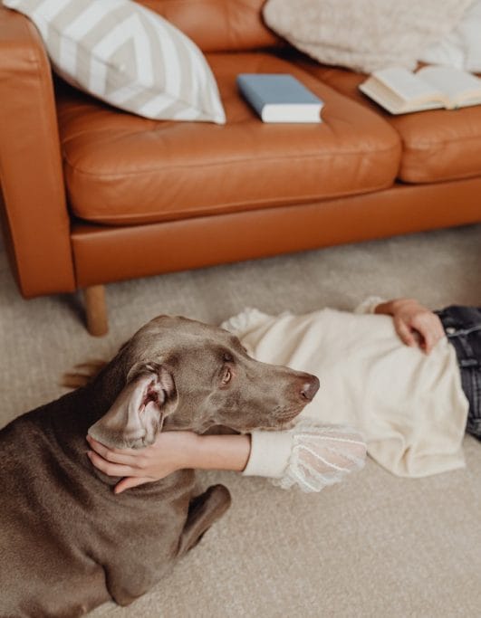 4 Tips and Tricks on How to Bond with Your Dog