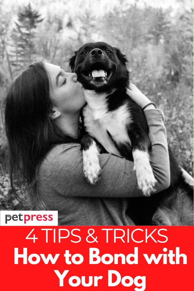 4 Tips and Tricks on How to Bond with Your Dog