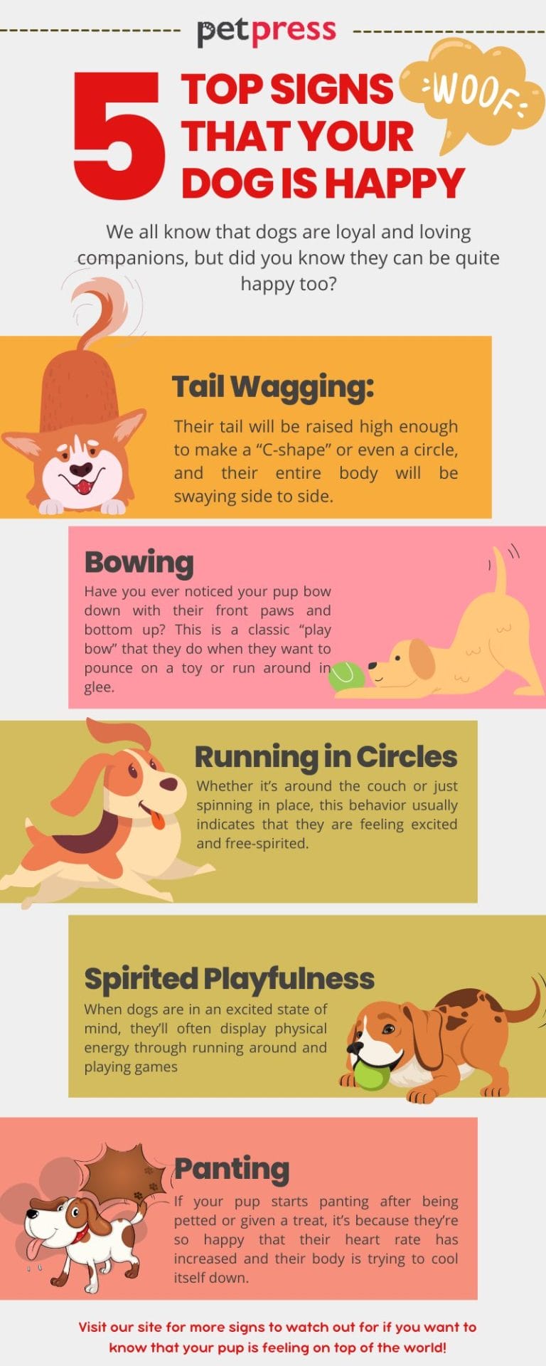 10 Top Signs That Your Dog is Happy