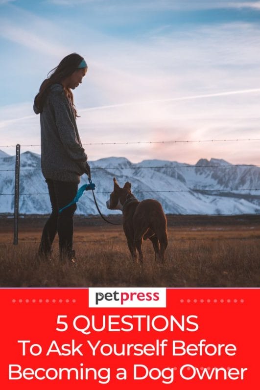 5 Questions to Ask Yourself Before Becoming a Dog Owner