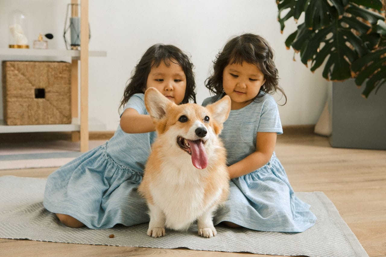 10 Tips To Train Your Dog To Be Nice Around Small Children