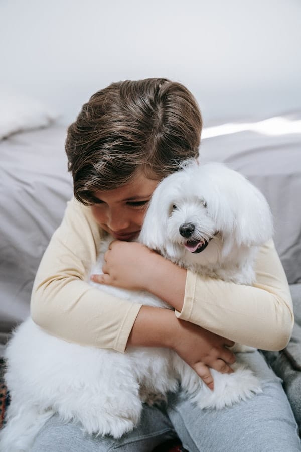 10 Tips To Train Your Dog To Be Nice Around Small Children