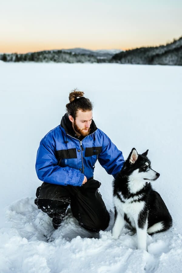 What Are The Best Dog Breeds for Cold Climates: Top 10 Picks