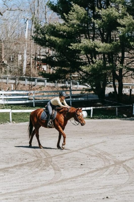 How To Ride A Horse Safely: A Beginners Guide
