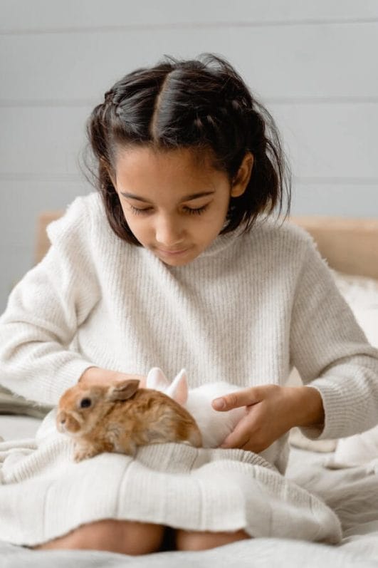The Ultimate Guide to Picking Up Your Pet Rabbit Like a Pro!