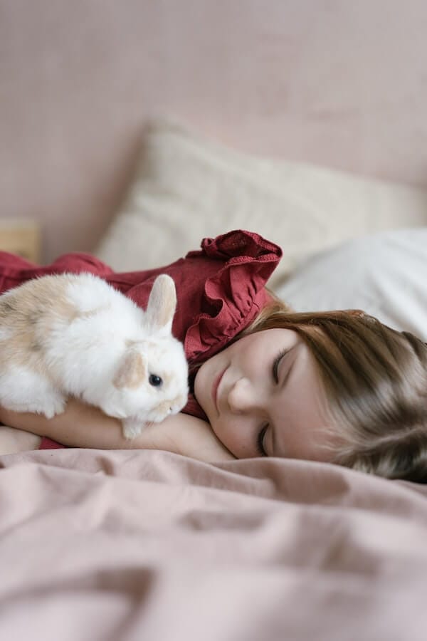 10 Rookie Mistakes People Make When Buying A Rabbit