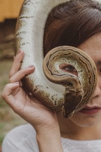 10+ Interesting Python Facts - Everything You Need to Know