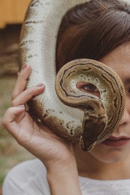 10+ Interesting Python Facts - Everything You Need to Know