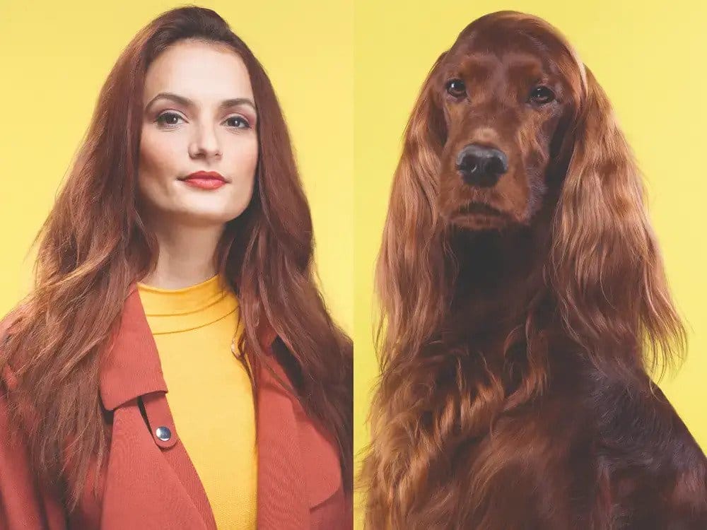 10 Hilarious Photos of Dogs That Look Just Like Their Owners