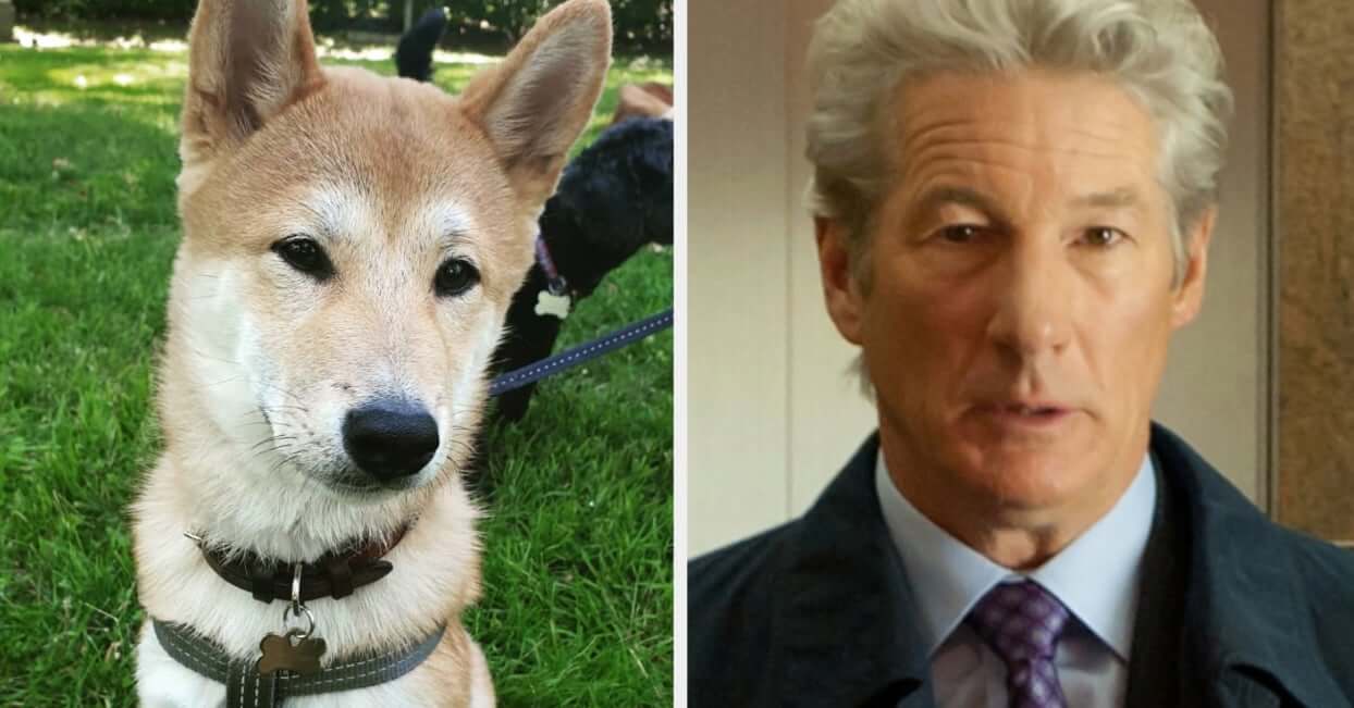 Fetching Look-Alikes: 15 Dogs Who Look Just Like Celebrities!