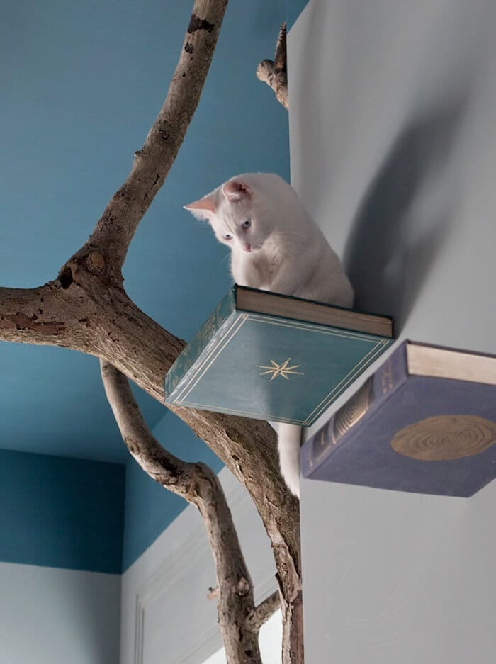 10 DIY Cat Shelves That Look Purr-fectly Fabulous