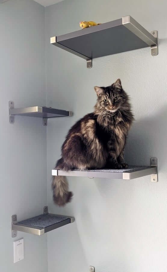 10 DIY Cat Shelves That Look Purr-fectly Fabulous