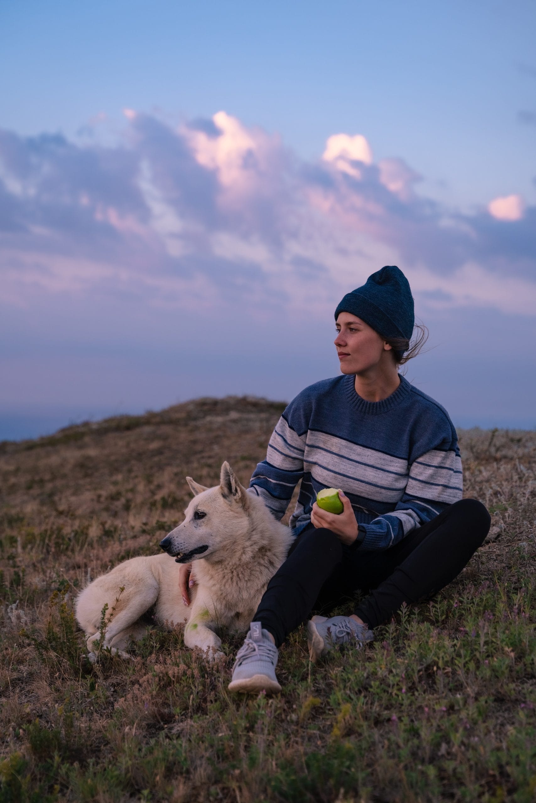 Understanding Dogs: 4 Reasons Why Is My Dog Suddenly Distant