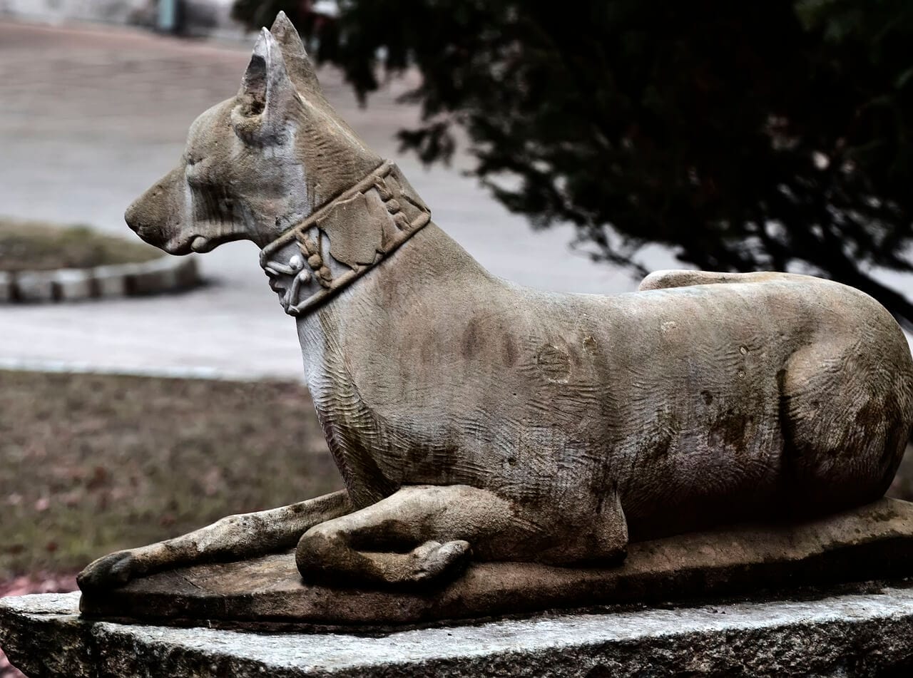 Remembering Your Pup With 15 Touching Dog Memorial Quotes