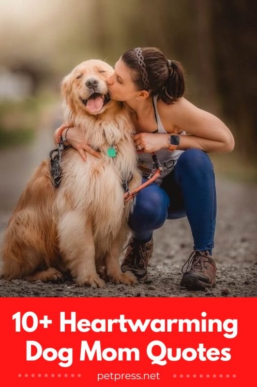 10+ Heartwarming Dog Mom Quotes