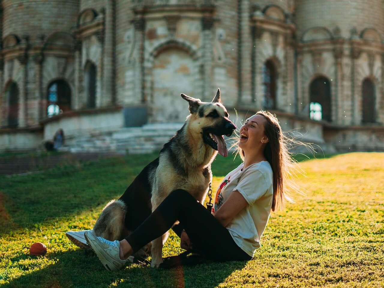 10 Best German Shepherd Quotes Where Loyalty Wit Combine 10-best-german-shepherd-quotes-where-loyalty-wit-combine
