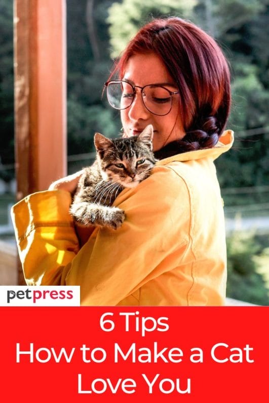 6 Essential Tips On How To Make A Cat Love You