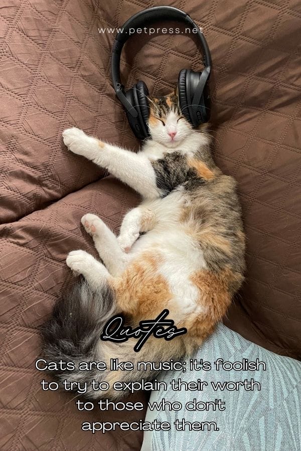 50 Funny Animal Quotes That Will Make You Laugh