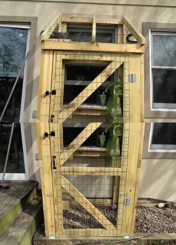 How to Build a Catio: A Guide for the Purr-fect DIY Project