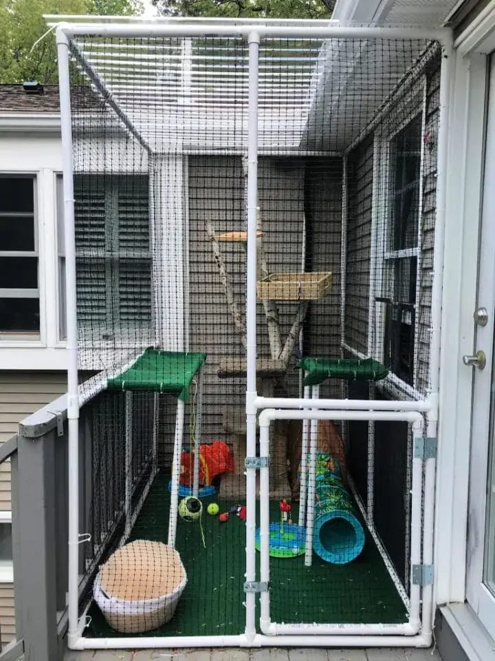 How to Build a Catio: A Guide for the Purr-fect DIY Project