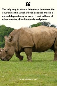 50 Inspiring Animal Abuse Quotes That Will Inspire Change
