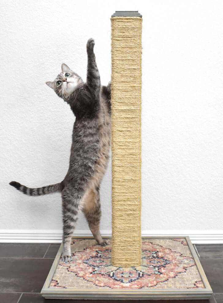 10 DIY Cat Scratching Post Ideas To Keep Your Cat Entertained