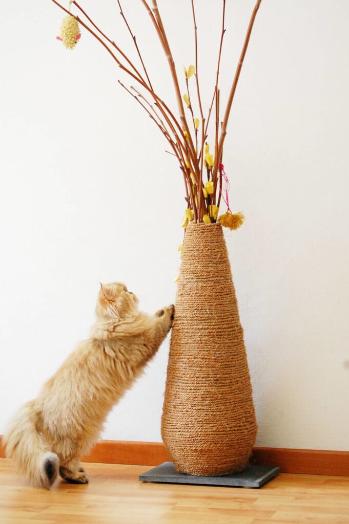 10 DIY Cat Scratching Post Ideas To Keep Your Cat Entertained
