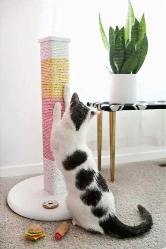 10 DIY Cat Scratching Post Ideas To Keep Your Cat Entertained